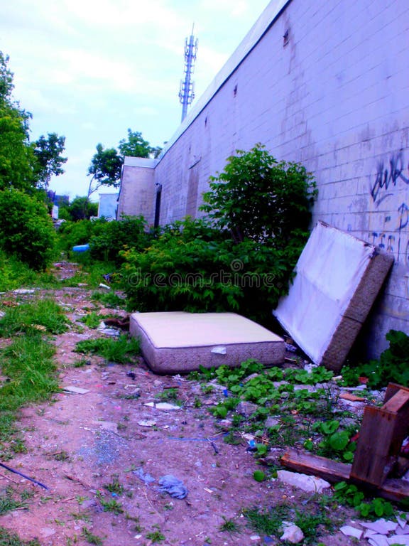 Trash stock photo. Image of weed, trash, garbage, back - 168179122