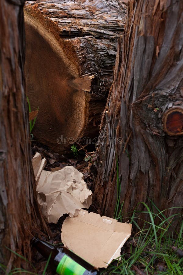 Trash in the trees stock image. Image of trashintrees - 110774613