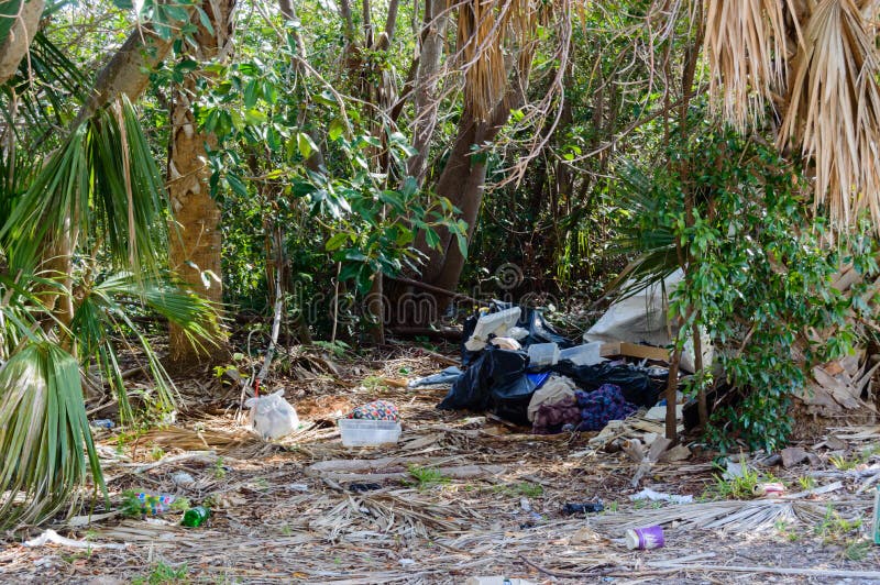 Trash in the trees stock image. Image of trashintrees - 110774613