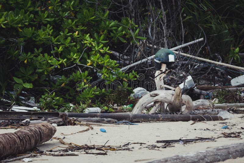 A Trashed Helmet on a Tree Trunk Editorial Photography - Image of ...