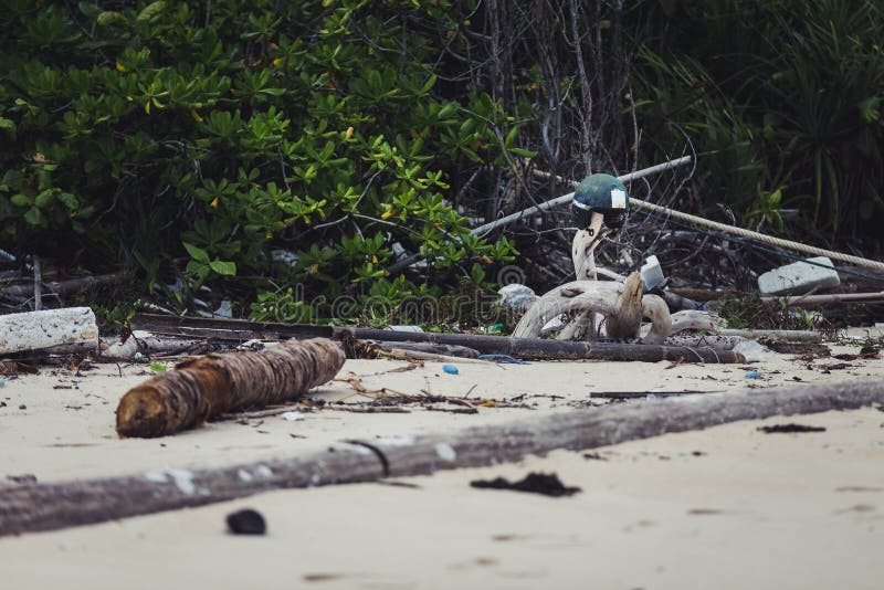 A Trashed Helmet on a Tree Trunk Editorial Image - Image of ...