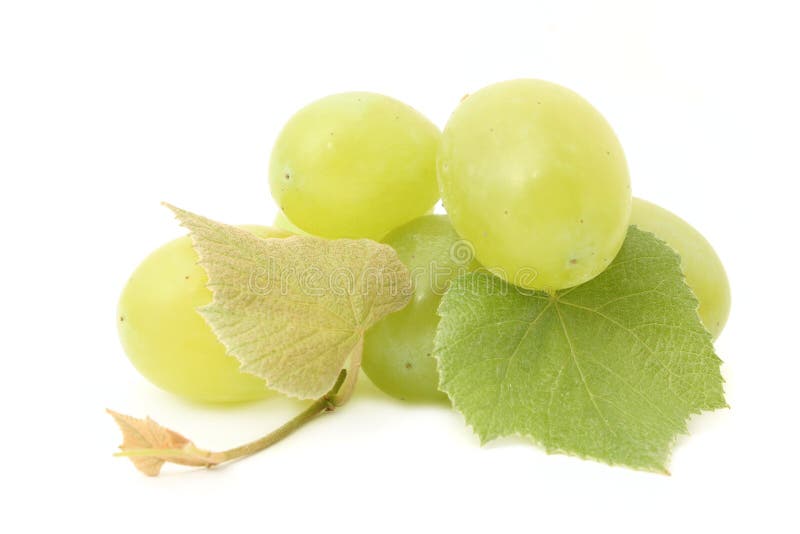 Traube stockbild. Bild von getrennt, saftig, nahrung, wein - 7438585