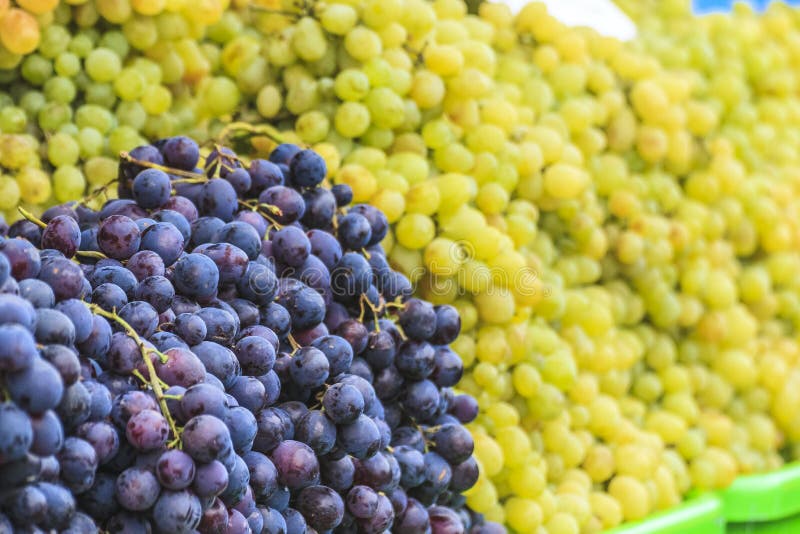 Traube stockfoto. Bild von blatt, bündel, draussen, hintergrund - 45829858
