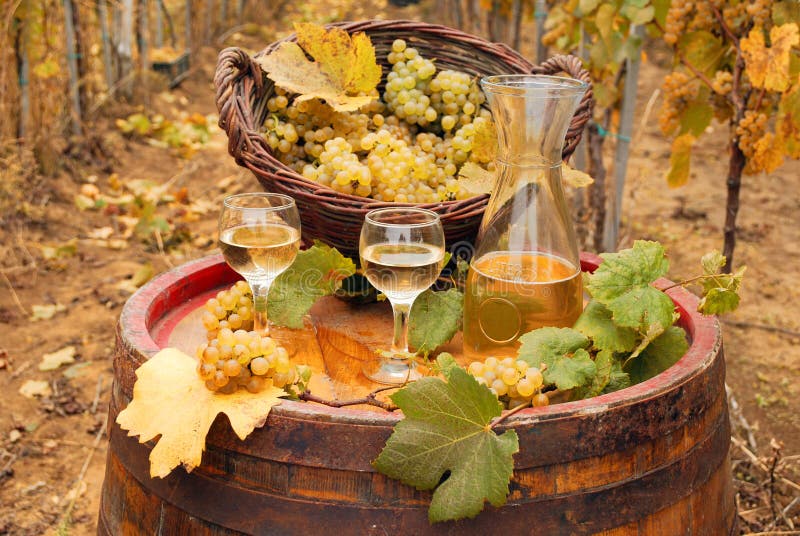 Wein Und Trauben Auf Dem Tisch Parga Stockfoto - Bild von bunt ...