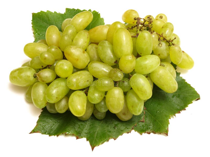 Trauben stockbild. Bild von grün, gaststätte, saisonal - 13519517