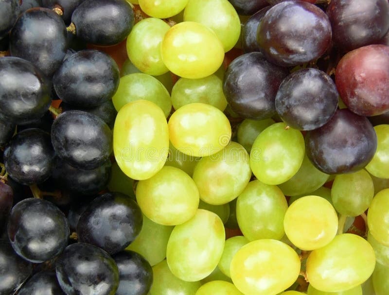 Trauben stockbild. Bild von saftig, tropisch, frisch, diätetisch - 2338389