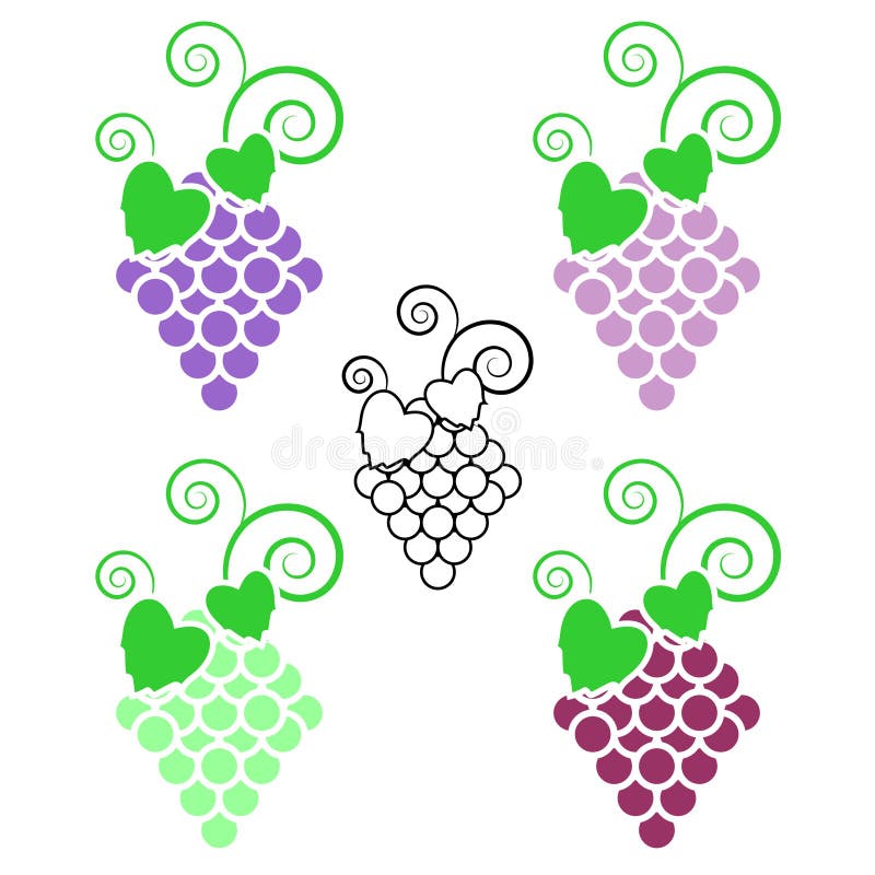 Trauben vektor abbildung. Illustration von trauben, zeichnung - 3513981