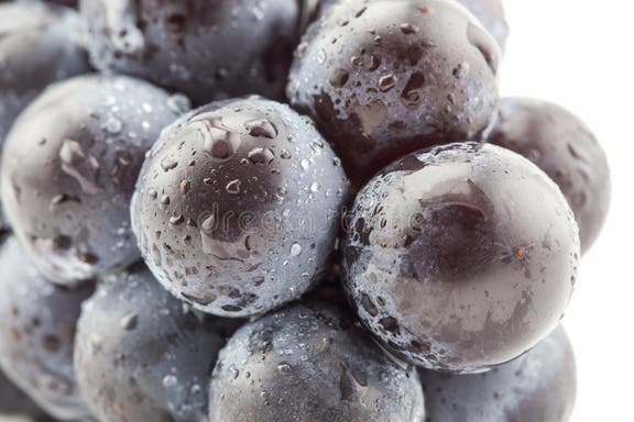 Trauben in Japan stockfoto. Bild von entwicklung, nahaufnahme - 63680202