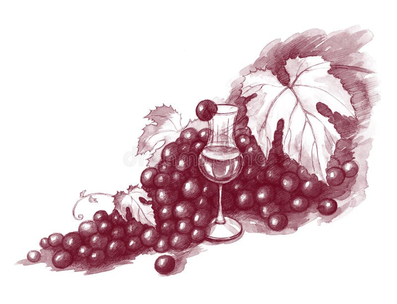 Trauben Und Weinglas Stock Illustrationen, Vektoren, & Kliparts - 2,608 ...