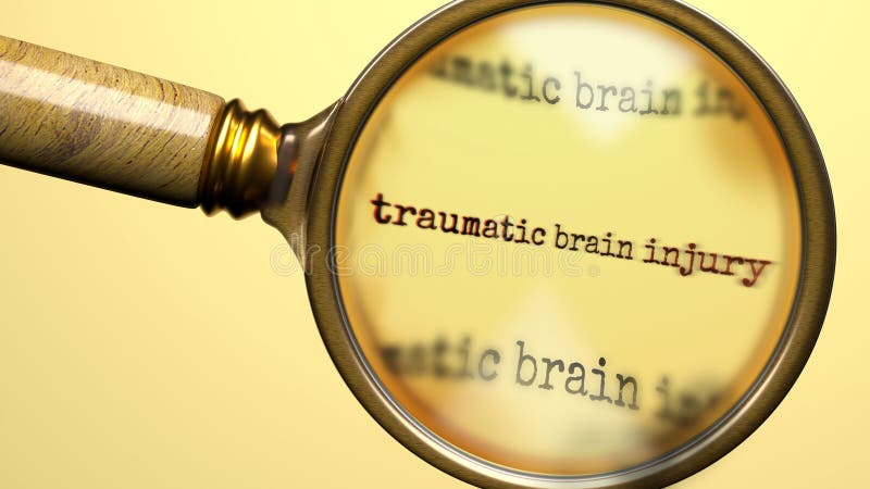 Traumatic Brain Injury Under Magnifying Glass. Thorough Analysis and ...