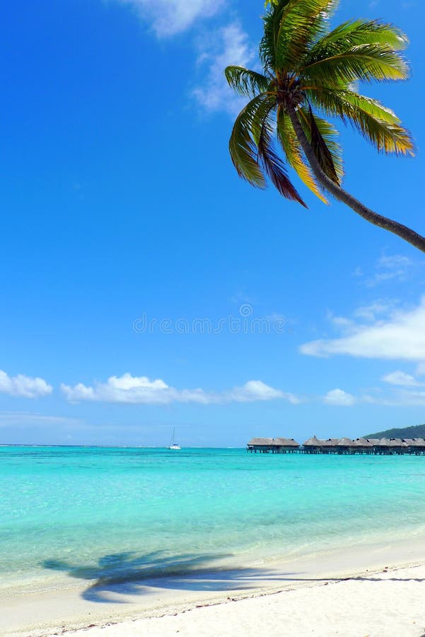 Traumstrand Moorea Stock Photos - Free & Royalty-Free Stock Photos from ...