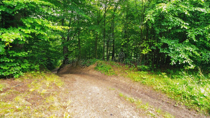 Travel Adventure in Natural Forest Stock Photo - Image of path ...