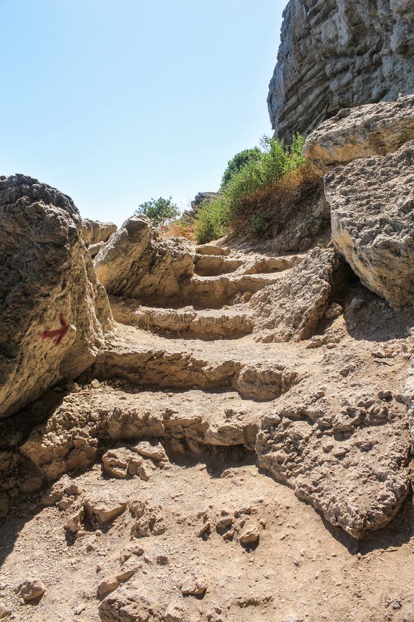 Climbing with stone steps. stock photo. Image of trees - 101467932