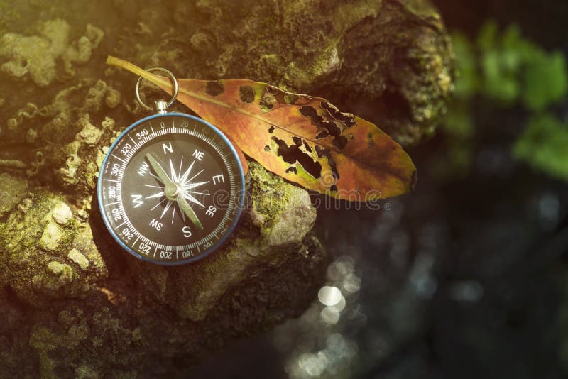 Background and compass stock photo. Image of travel, detall - 13449892