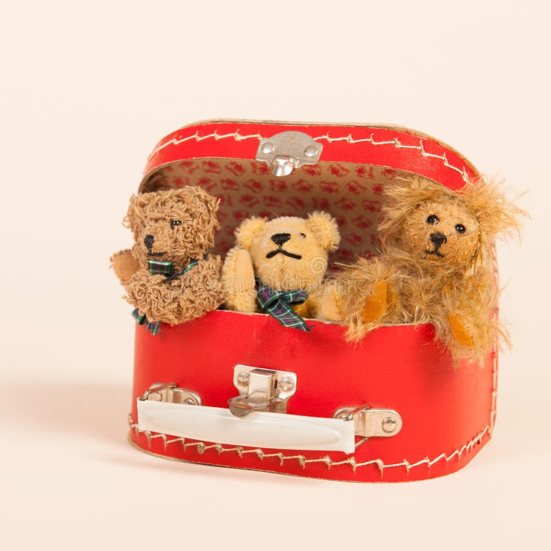 Travel bear stock photo. Image of funny, vintage, travel - 53618468