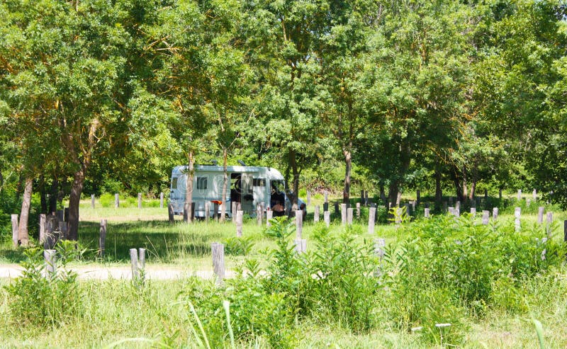 Travel by Caravan in the Green Forest in Summer Stock Image - Image of ...