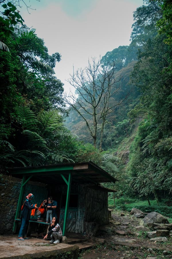 Travel Cibodas Puncak Bogor Indonesia Editorial Stock Image - Image of ...