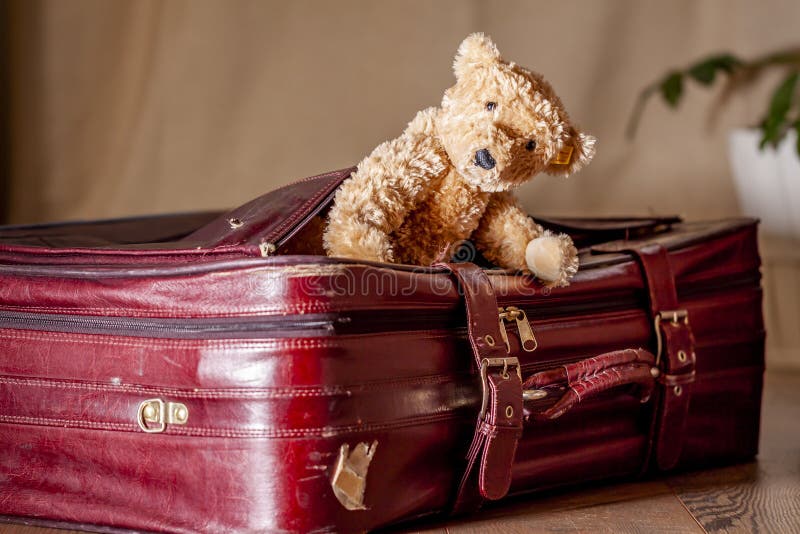 Travel Concept of Teddy Bear and Red Vintage Suitcase Stock Photo ...