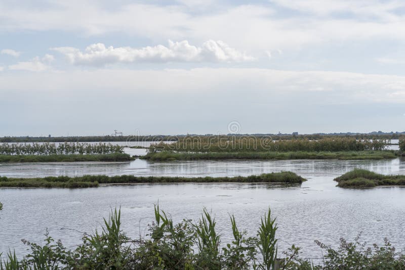 Travel on Delta Del Po River Country Stock Photo - Image of bird, land ...