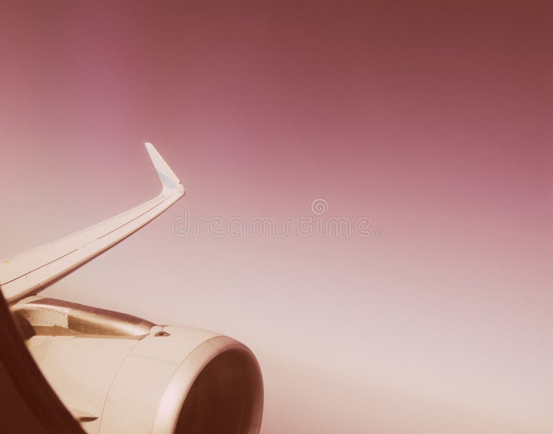 Sunlight Vinate Stock Photos - Free & Royalty-Free Stock Photos from ...