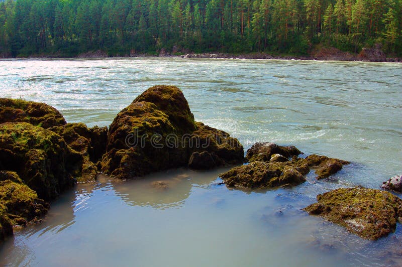 Travel stock photo. Image of foliage, pure, leaf, fresh - 175252520