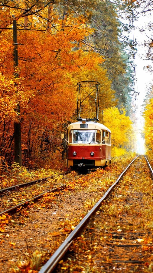Travel in nature on train stock image. Image of nature - 213547487