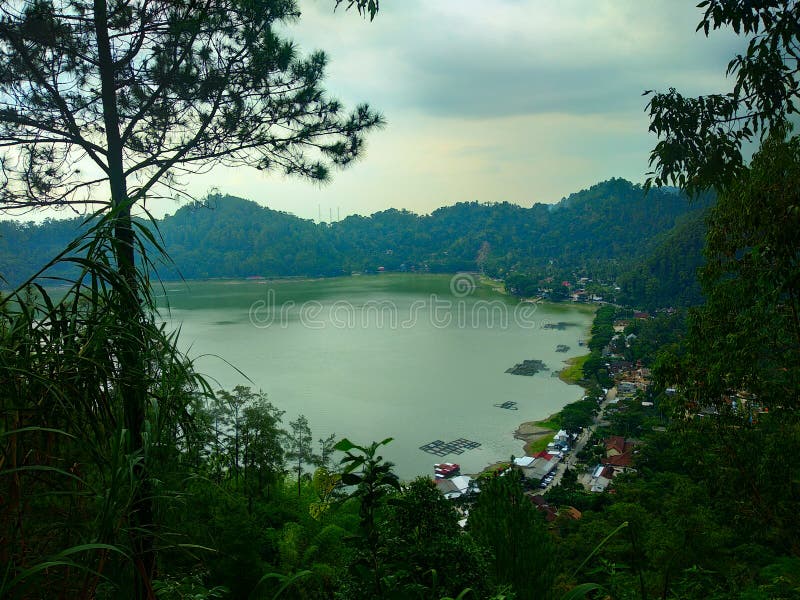 Travel on ngebel lake stock image. Image of travel, tree - 203547289