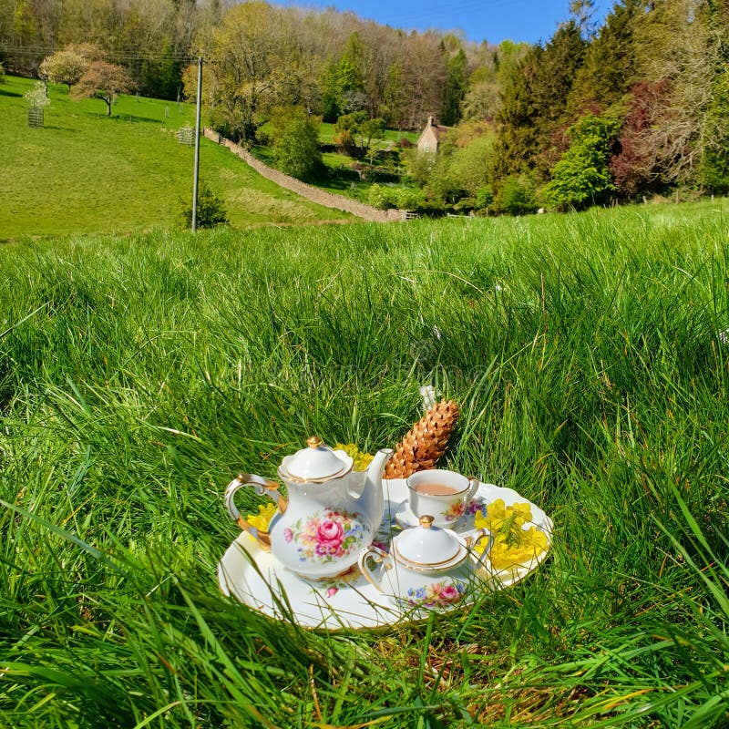 Tea Time during Travel stock image. Image of field, travel - 267754001