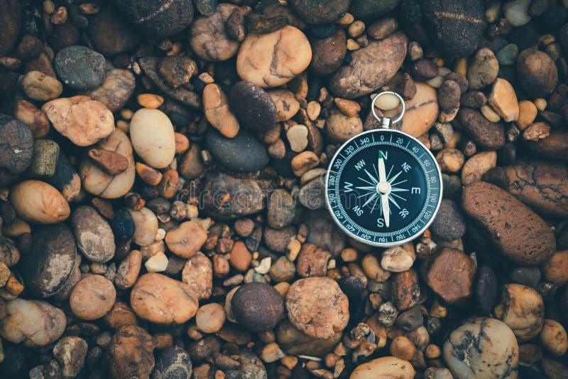 Travel of Tourists with Compass. Compass of Tourists on Forest Stock ...