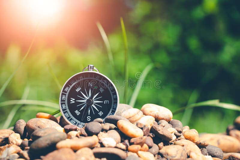 Travel of Tourists with Compass. Compass of Tourists on Forest Stock ...