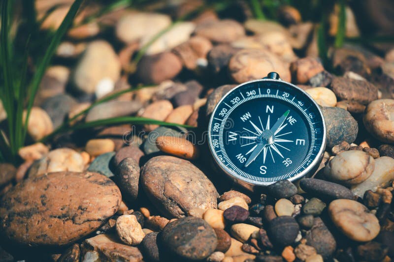 Travel of Tourists with Compass. Compass of Tourists on Forest Stock ...