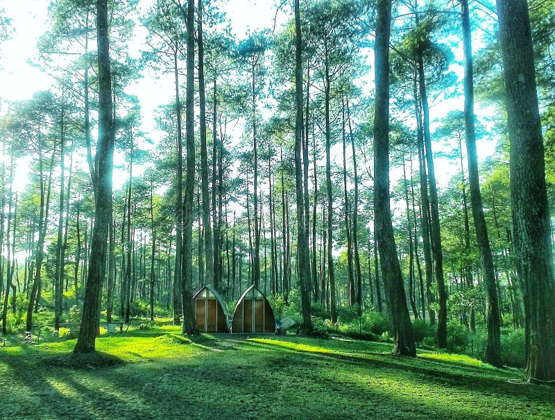 Travel in the Wilderness on a Sunny Day Stock Photo - Image of nature ...