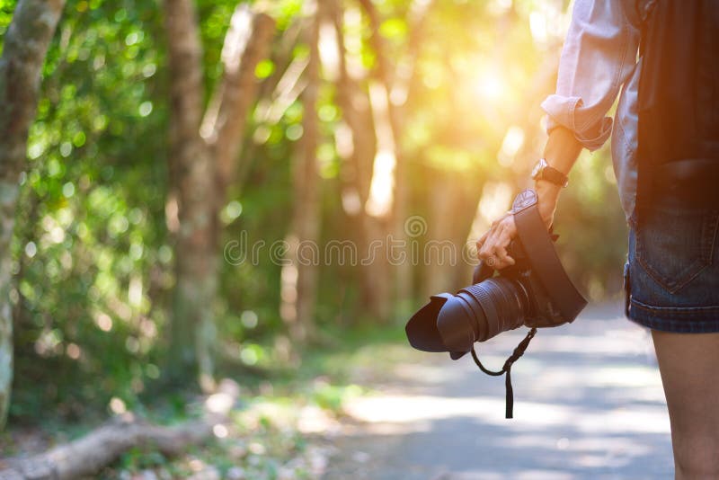 Travel Woman Hand Holding Camera Stock Image - Image of female, camera ...