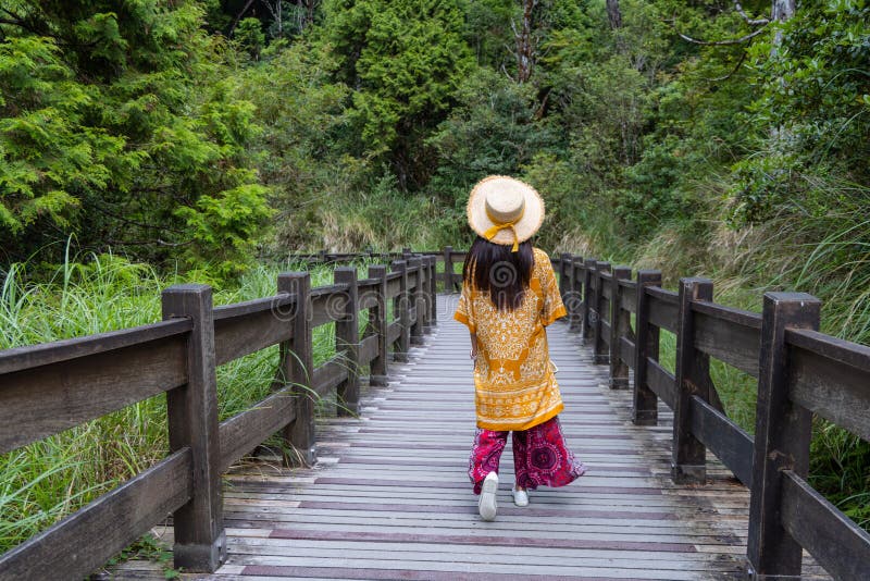 Travel Woman Walk on the Wooden Path Stock Photo - Image of lifestyle ...