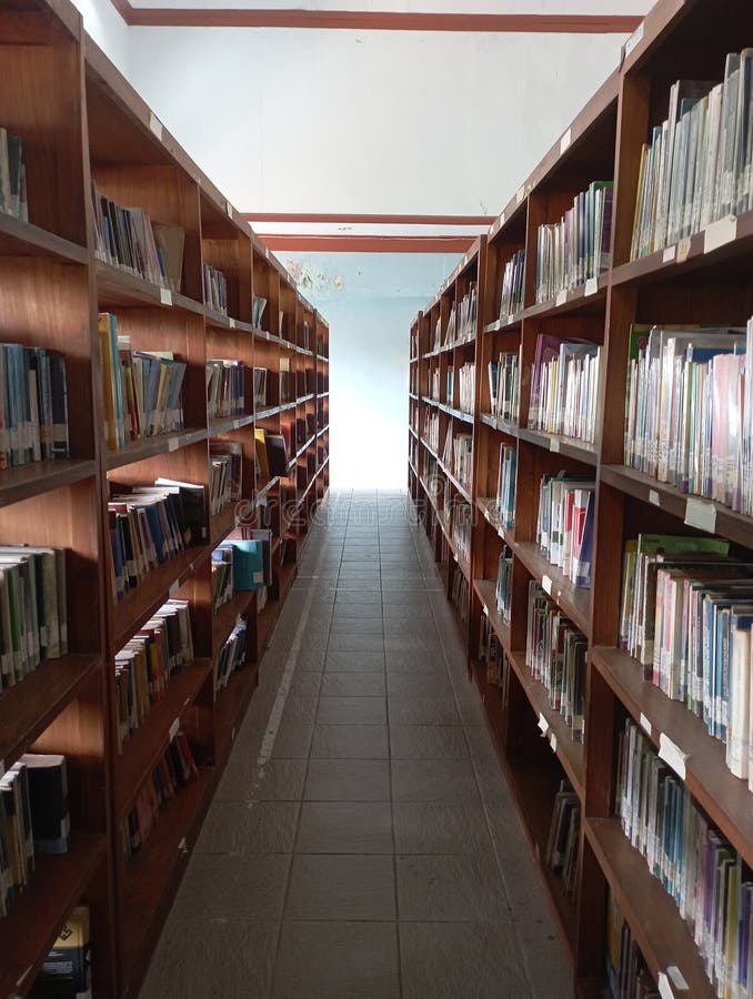 Travel the World Unrestricted Stock Photo - Image of library ...