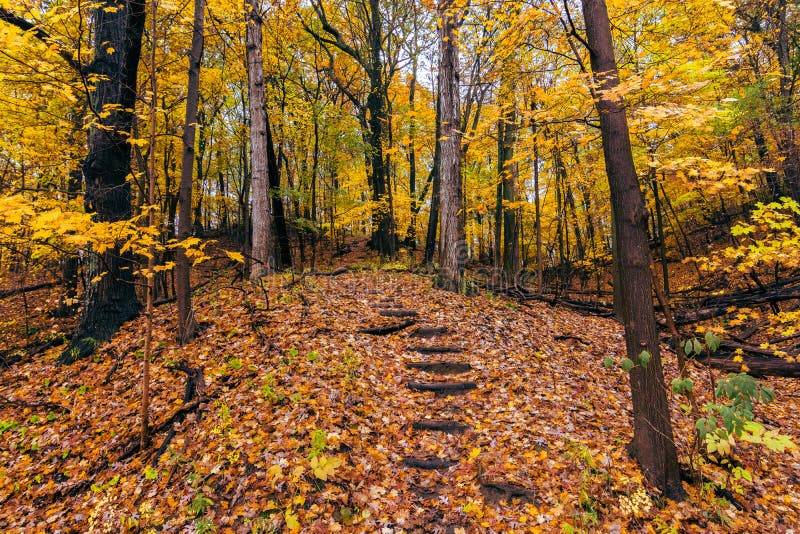 The less traveled path stock image. Image of scenery - 201132915
