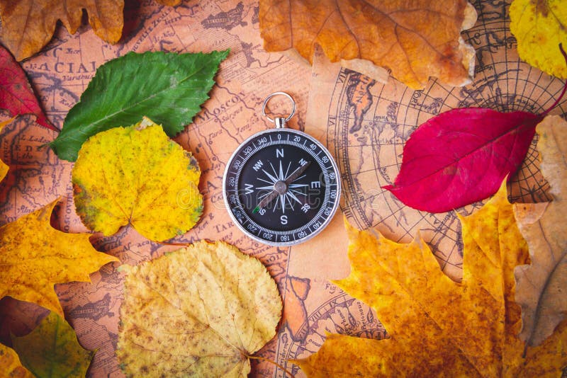Traveler S Compass on Map in Bright Multi-colored Autumn Leaves ...