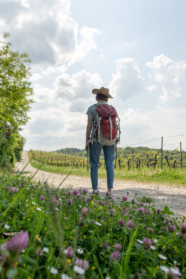 Traveler Standing Backward on a Flower Path Looking into the Distance ...