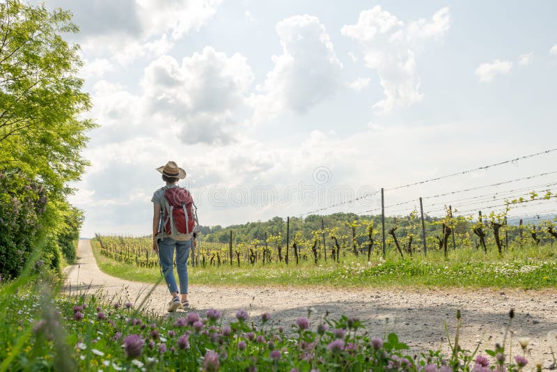 Traveler Standing Backward on a Flower Path Looking into the Distance ...
