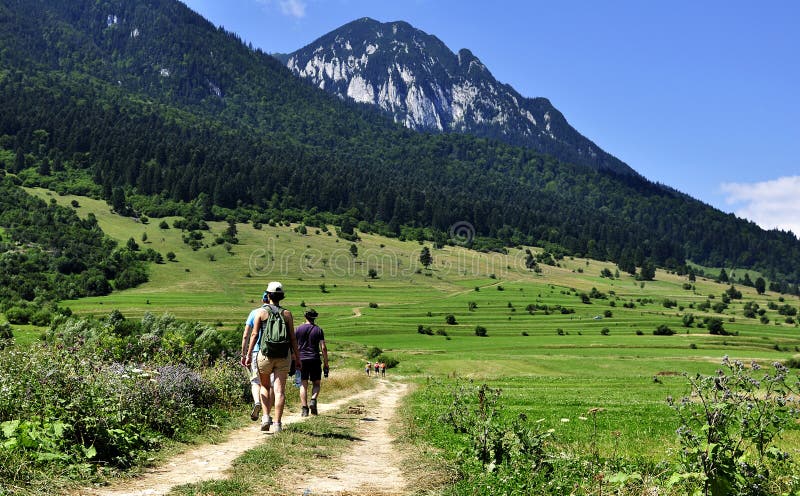 The travelers stock image. Image of clouds, travel, bushes - 21138423