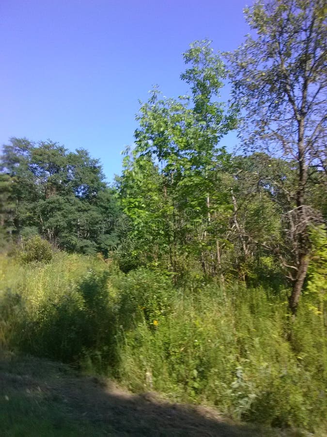 Backwoods Stock Photos - Download 4,686 Royalty Free Photos