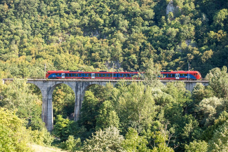 Traveling by Railway. Train Crosses the Bridge through the Forest and ...