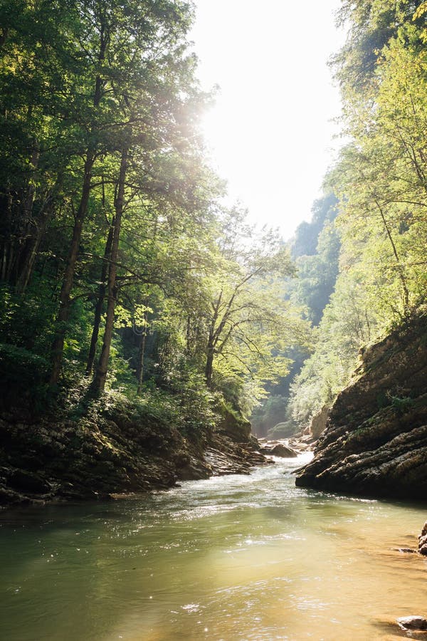 Traveling River Hike in a Green Forest in the Rocks Stock Photo - Image ...