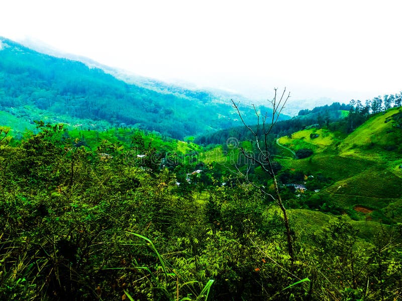 Rangala Sri Lanka stock photo. Image of rawana, environment - 118585150