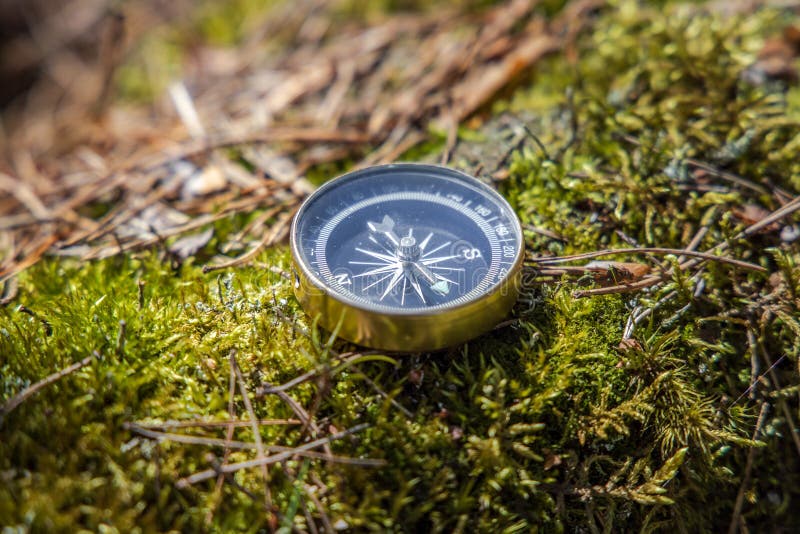 Traveller Compass on the Grass in the Forest Stock Photo - Image of ...