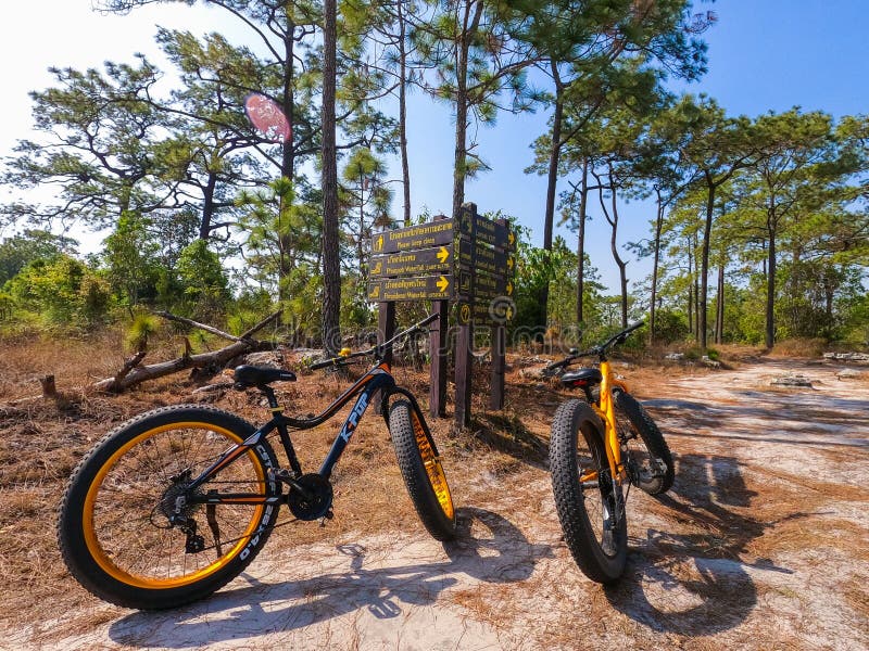 Traveller is Ride a Bicycle for Sightseeing in Forest Stock Photo ...