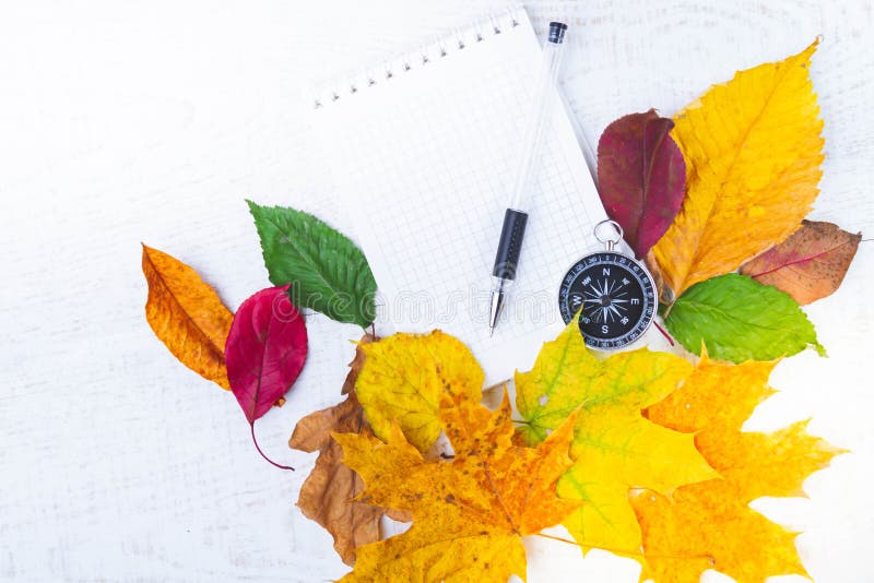 Traveller S Notes. Compass and Notepad for Notes in Bright Autumn ...