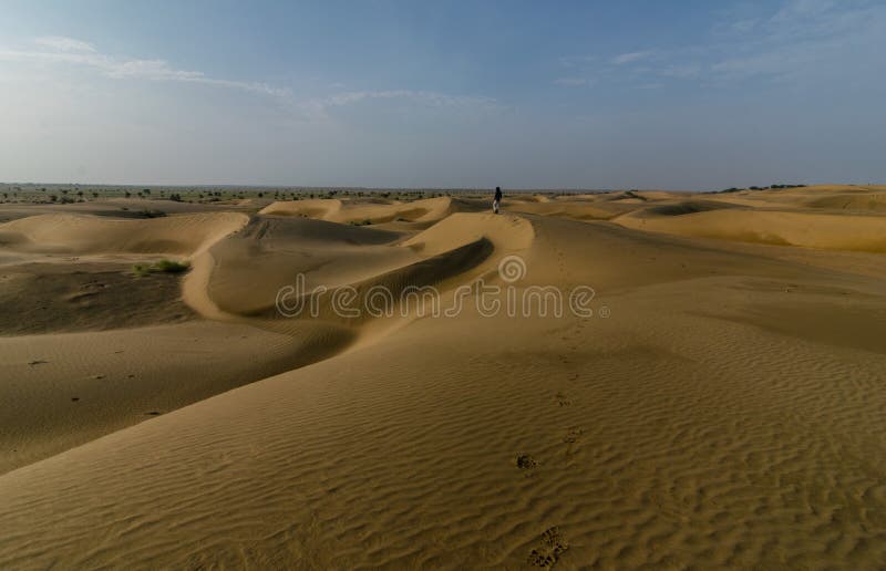 Traveller in Thar Desert - Rajasthan Stock Photo - Image of tourism ...