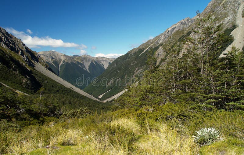 Travers river valley stock image. Image of valley, tree - 21672739