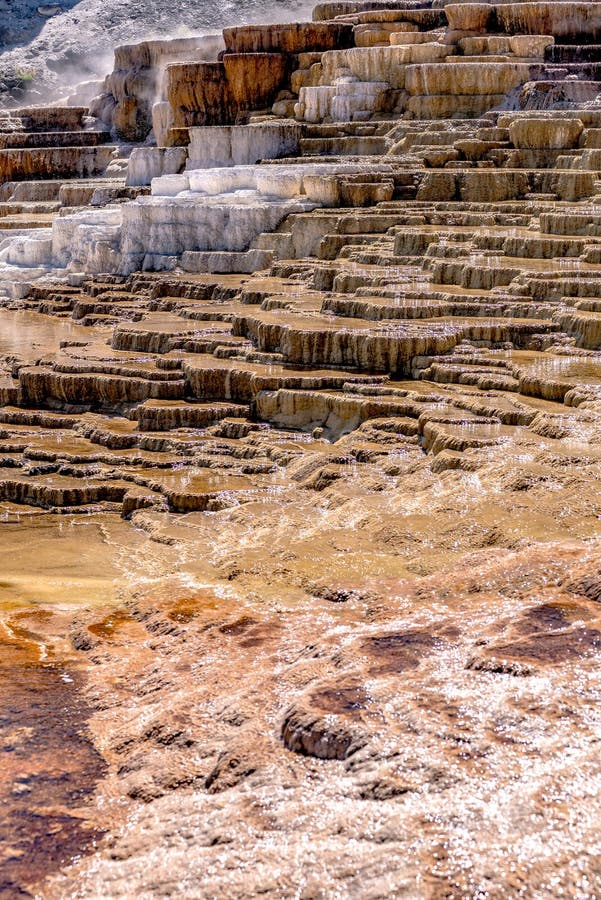Travertine Terraces, Mammoth Hot Springs, Yellowstone Stock Image ...
